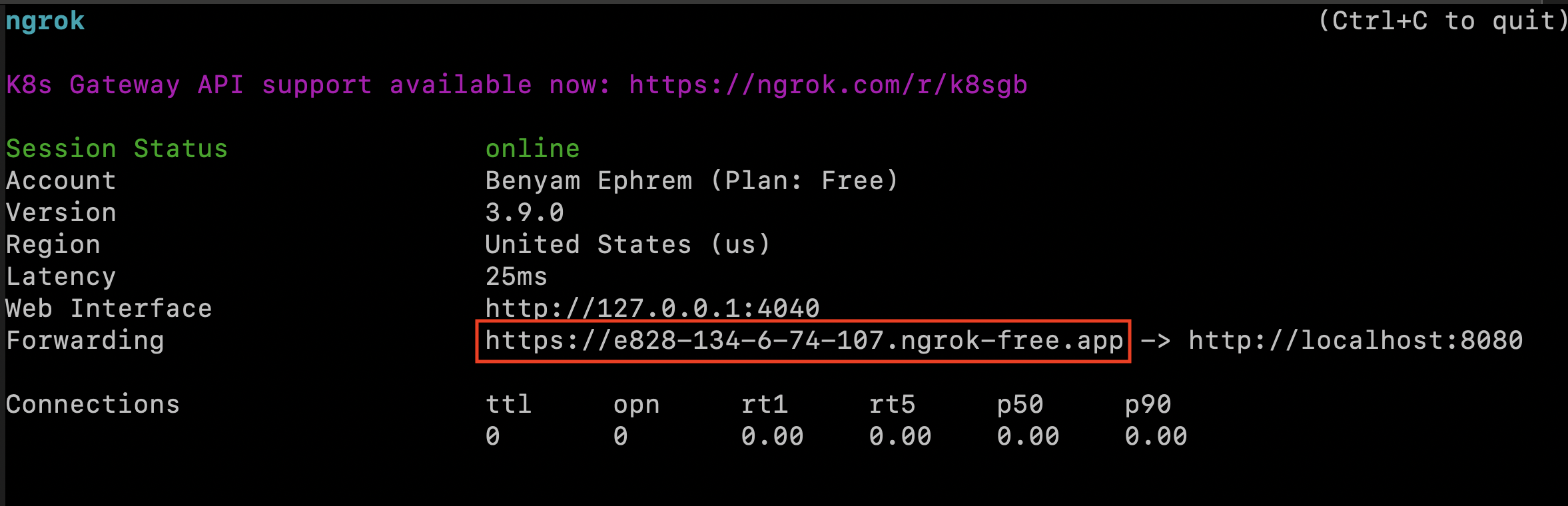 Developing Locally — Vapi